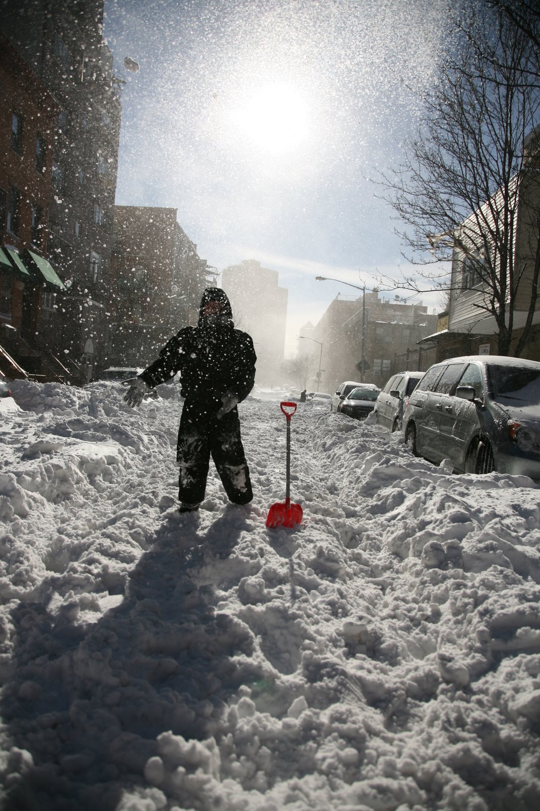 Picaboo Studios: 2010