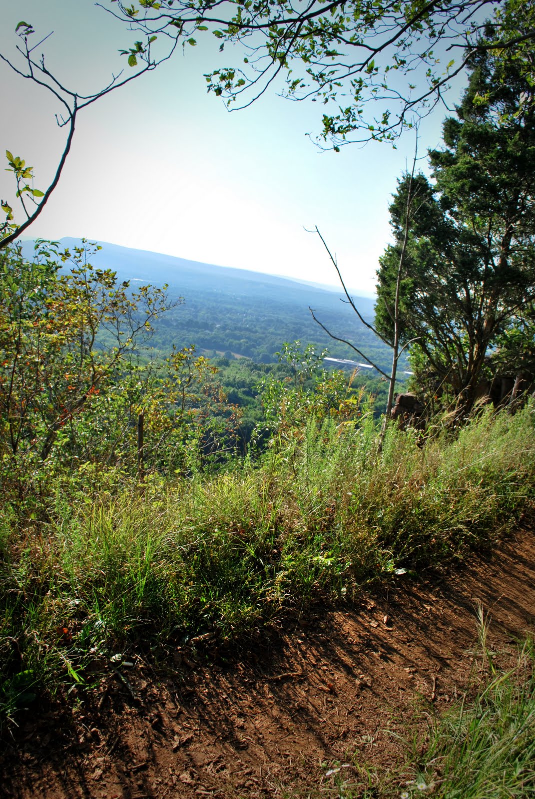 The Local Hike