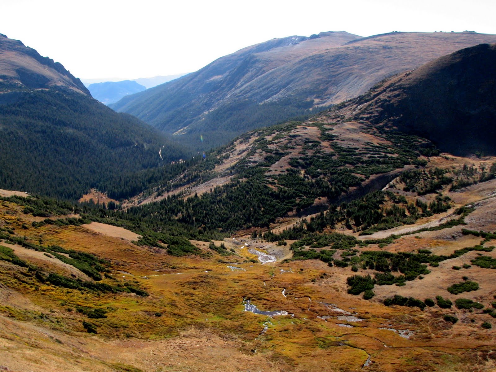 Park Ridge Landscaping | How To Grade Landscape