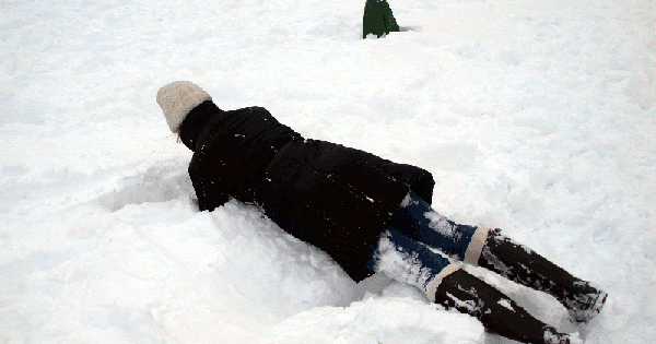 Chicago Quirk: Snowpocalypse 2011