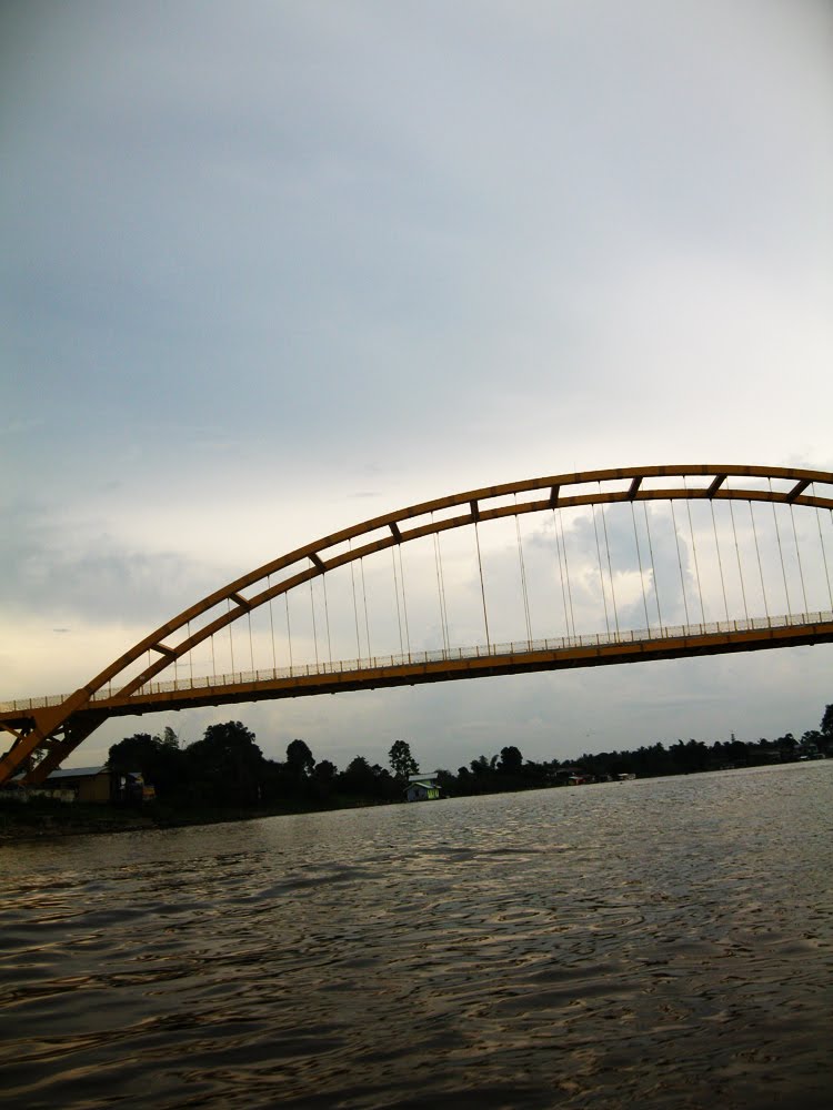 BACKPACKER'S DIARY: DANAU SEMAYANG, Kota Bangun, East Borneo, Indonesia