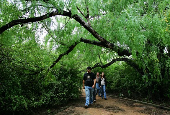 Life through the Lens: McAllen Nature Center