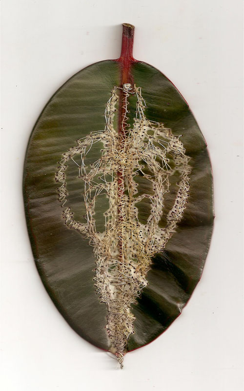 Jaime Lyerly Art : Thread Sketches - Process and Elaboration