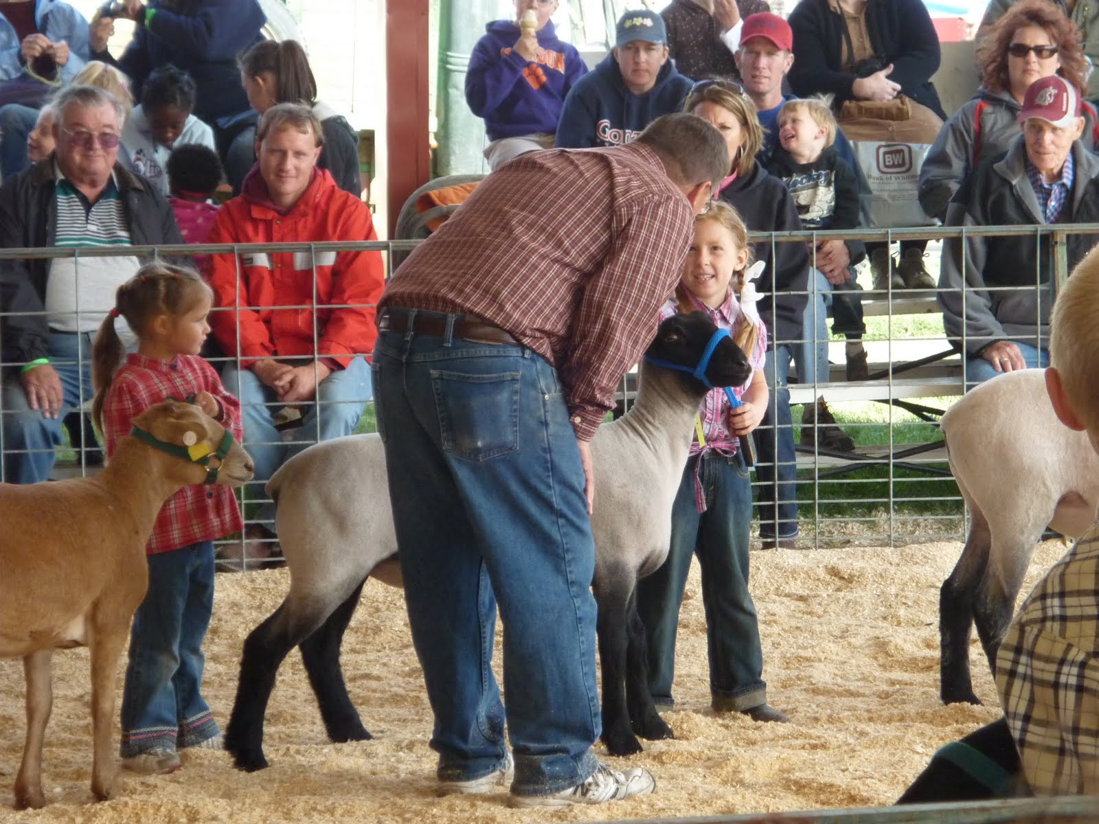 ThE bRoCkBaNk FaMiLy