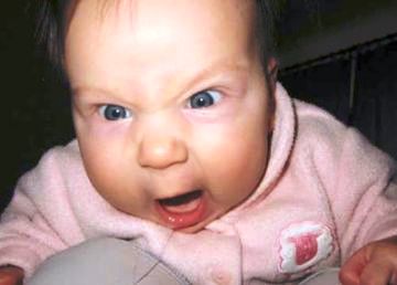 Random Carolina Parrothead Brain Droppings: Out of the mouth of an ...