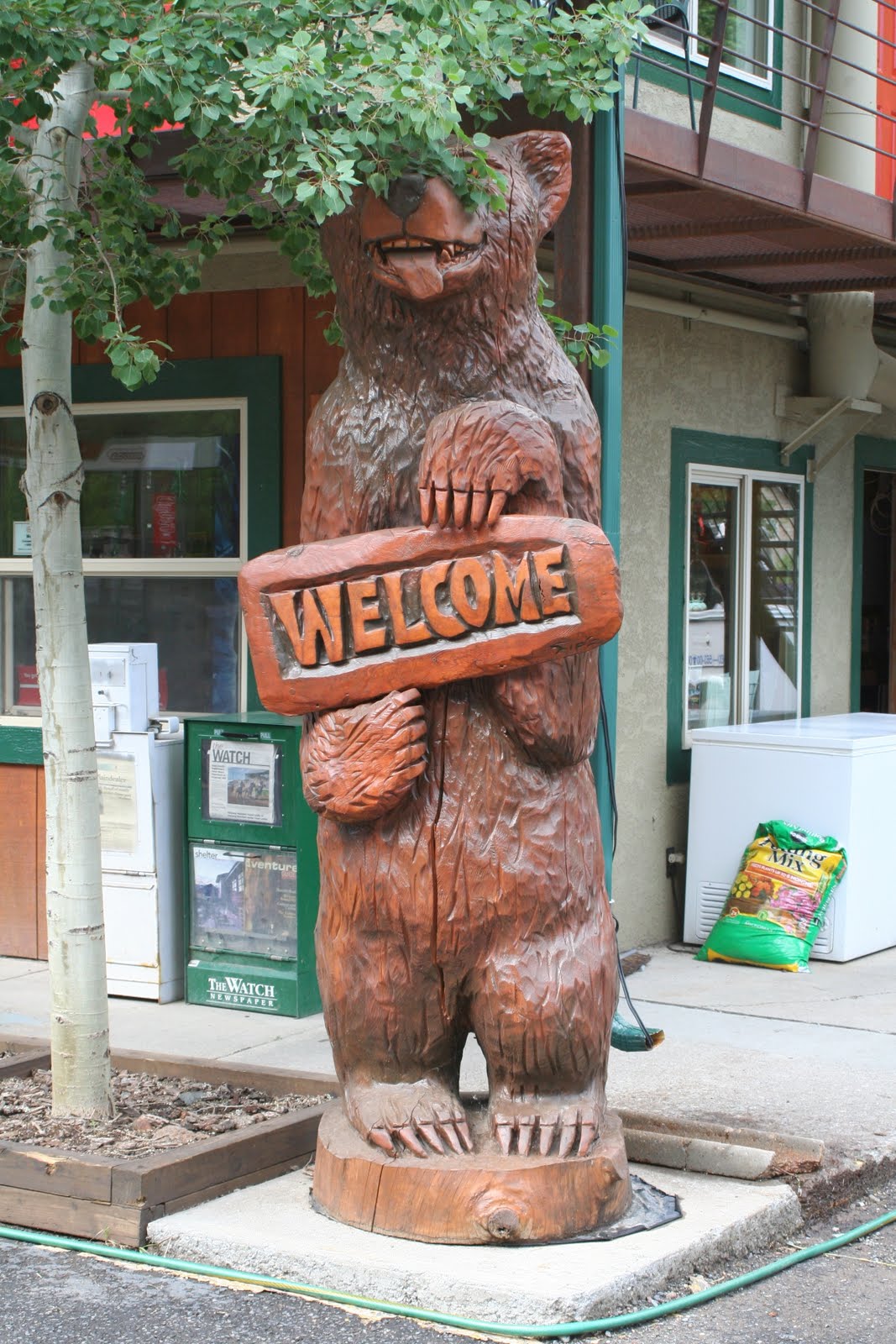 What a Country!: Ouray, Colorado
