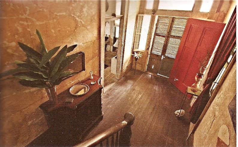 * T h e * V i s u a l * V a m p *: A Treme Treasure