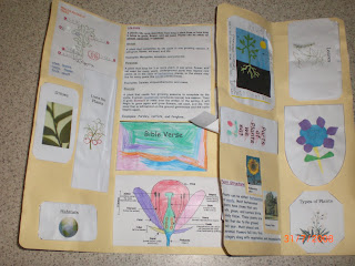 Beach Hut Academy: Pernella & Charlie's Plant Lapbooks...