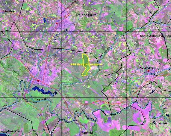 ÁREA DE RELEVANTE INTERESSE ECOLÓGICO (ARIE) MATÃO DE COSMÓPOLIS - SP