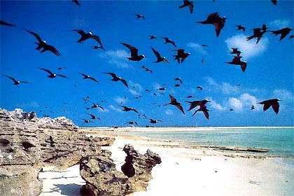 RESERVA BIOLÓGICA DO ATOL DAS ROCAS ~ Conhecimento é tudo