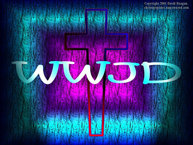 Mandarin's space: In His Steps (WWJD)