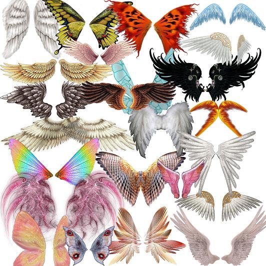 vdshare-psd.blogspot.com: Collection Wings...
