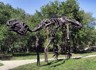 Monterrey, México: El Sabinosaurio y El Monstruo de Aramberri