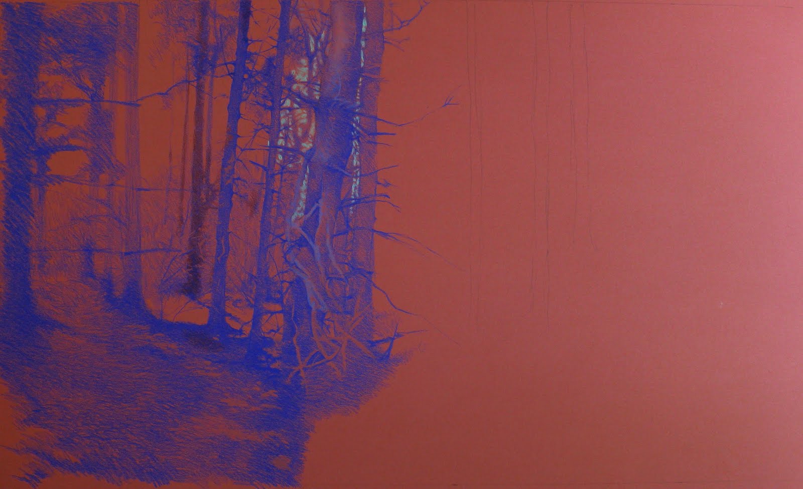 On My Drawing Board: Sarah Emma Edmonds II: "Transformation"