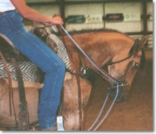 Hoof Prints On The Heart: Is Using Draw Reins a Good Technique?