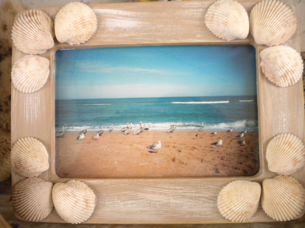 Del's Shells: Seashell Photo Frames for Beachy Home Decor