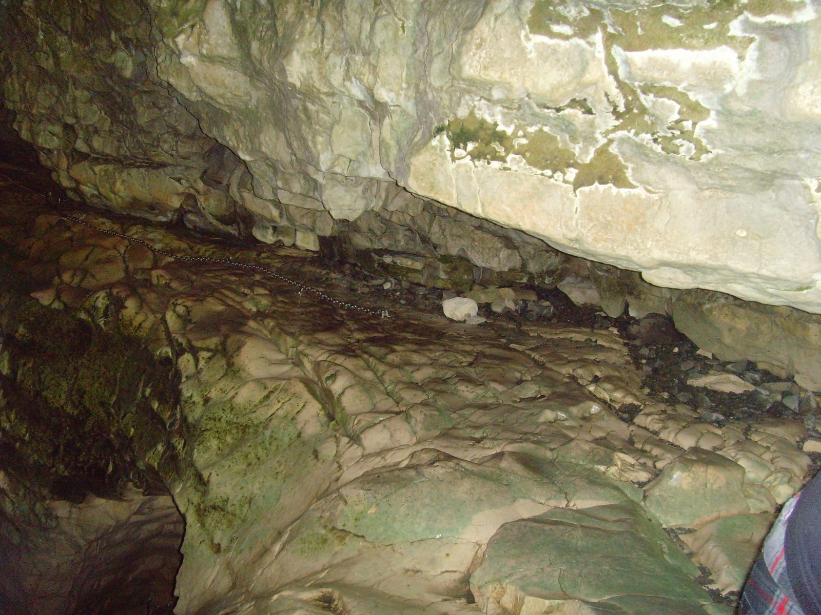 New Zealand Adventures: The end of NZ - Our Cave Stream Adventure