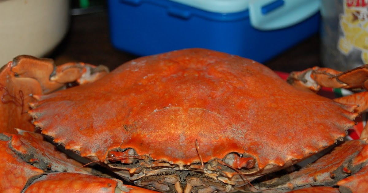 m3clicks: Alimango Crab is tastefully enticing