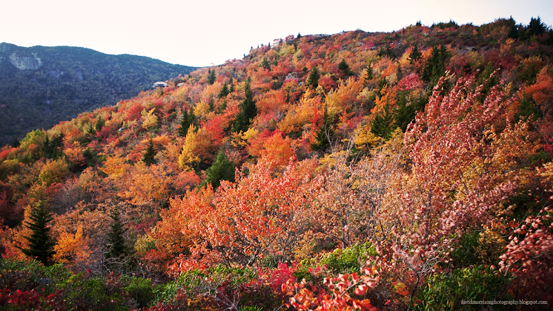 The CLICK "stimulating growth": Boone, NC :: Fall Color