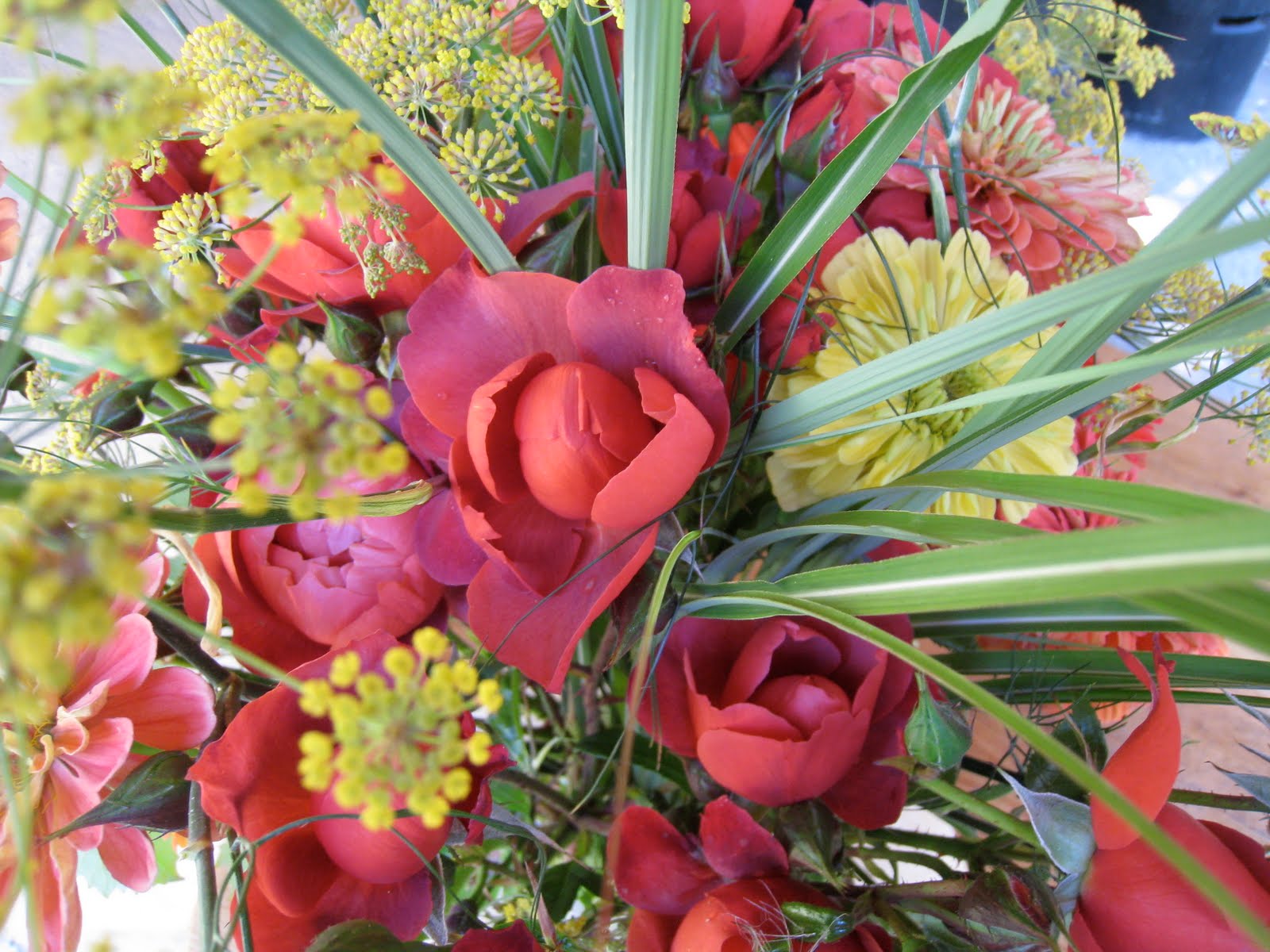 Christina's Garden: island flowers