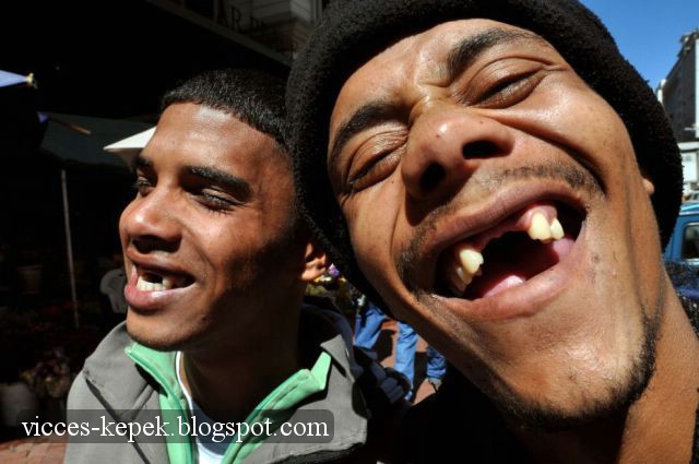 Vicces képek oldala: 2010. június 15.