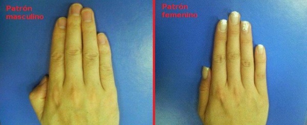 Dedos y Personalidad. La historia del dedo anular. - LA CASA MUNDO por TM