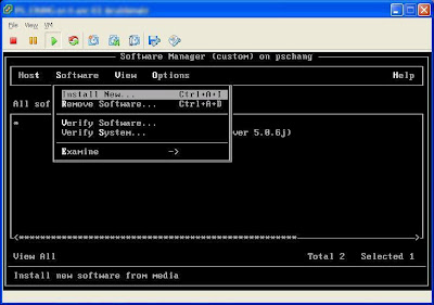 Blog du DS45: HOWTO SCO P2V in the real life