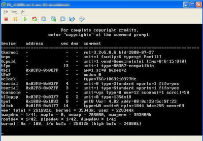 Blog du DS45: HOWTO SCO P2V in the real life