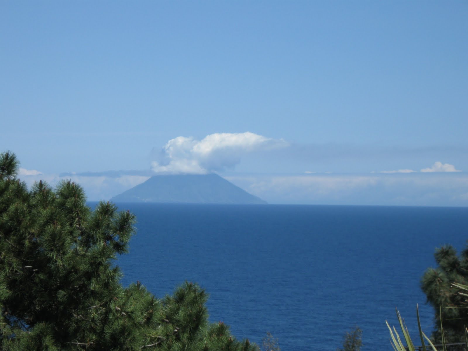 cafarella-cincotta: 2014