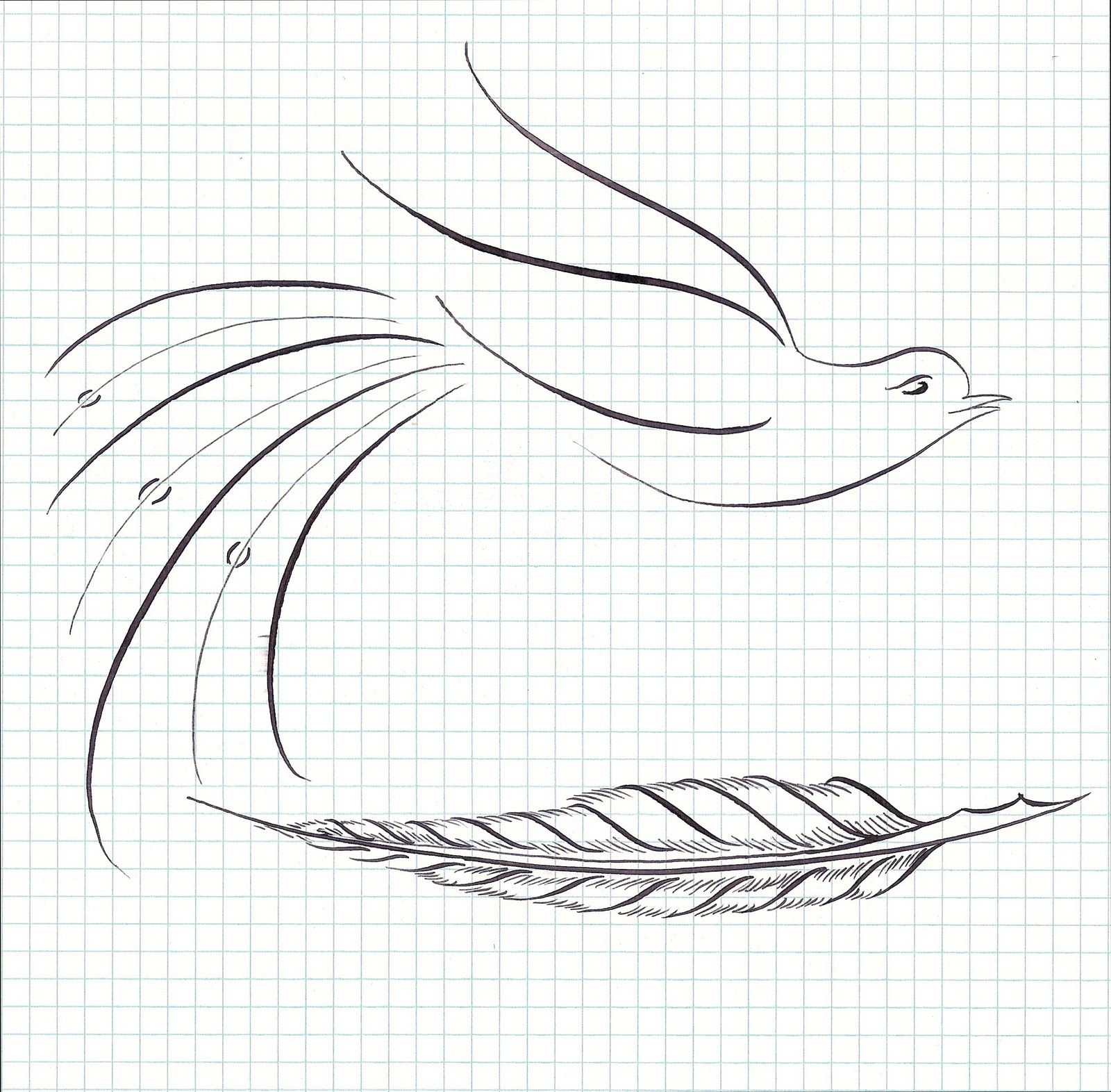 Calligraphy Bird Flourish