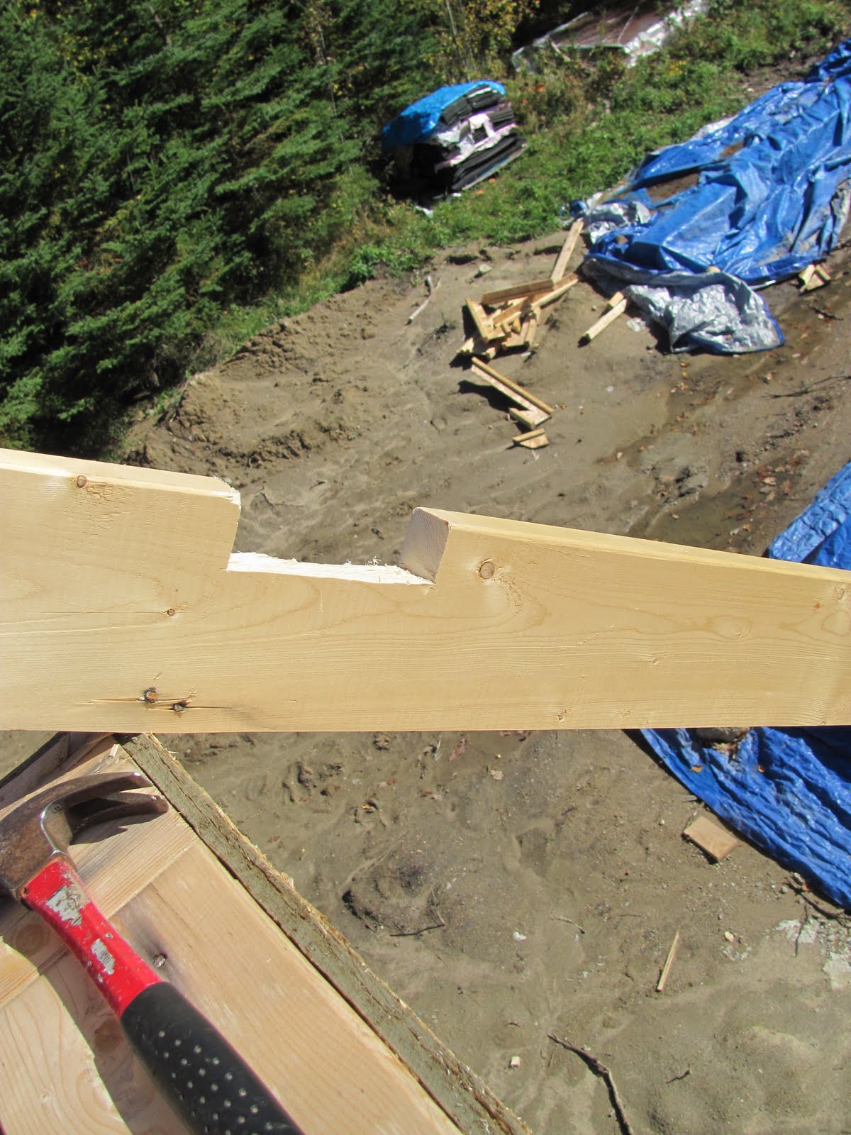 Jon's Minnesota Cabin: Why Construction Takes So Long