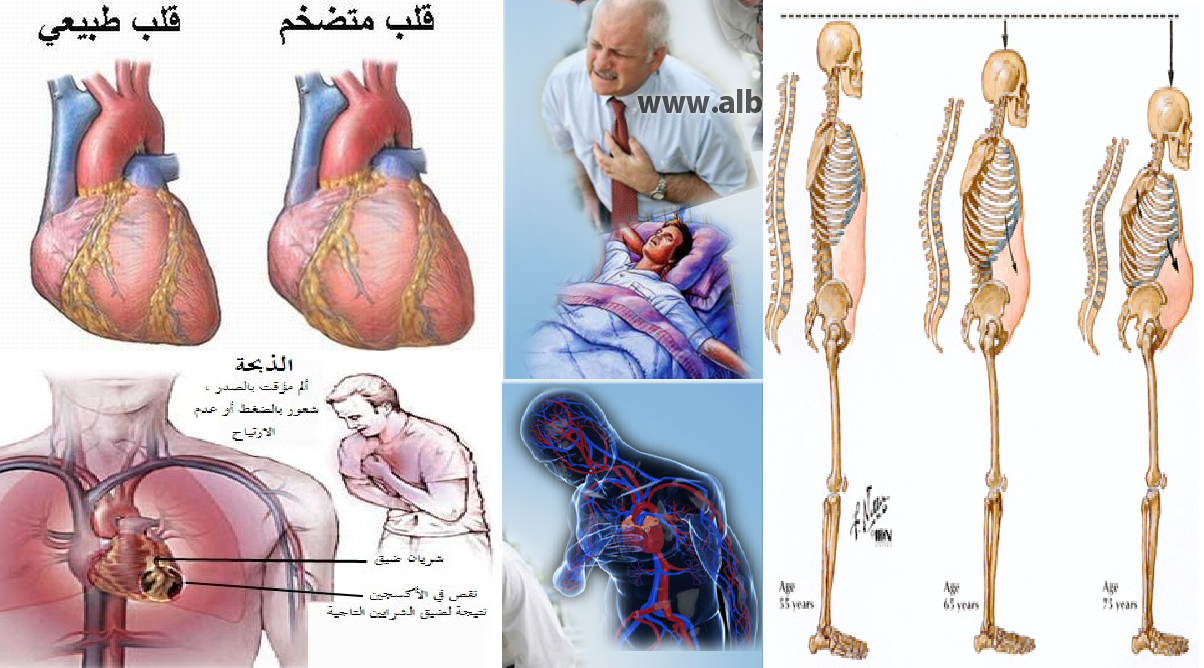 إعجاز الخالق في خلق الانسان