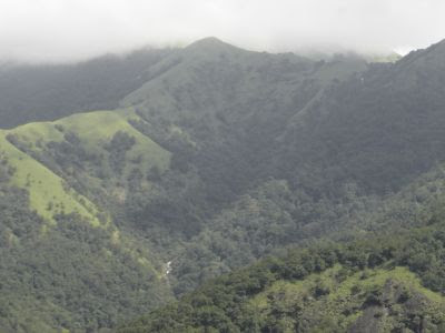 Treks and travels: Green route trek