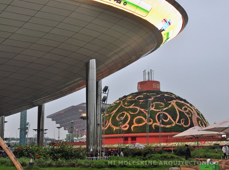 Donckels Belgian Truffles