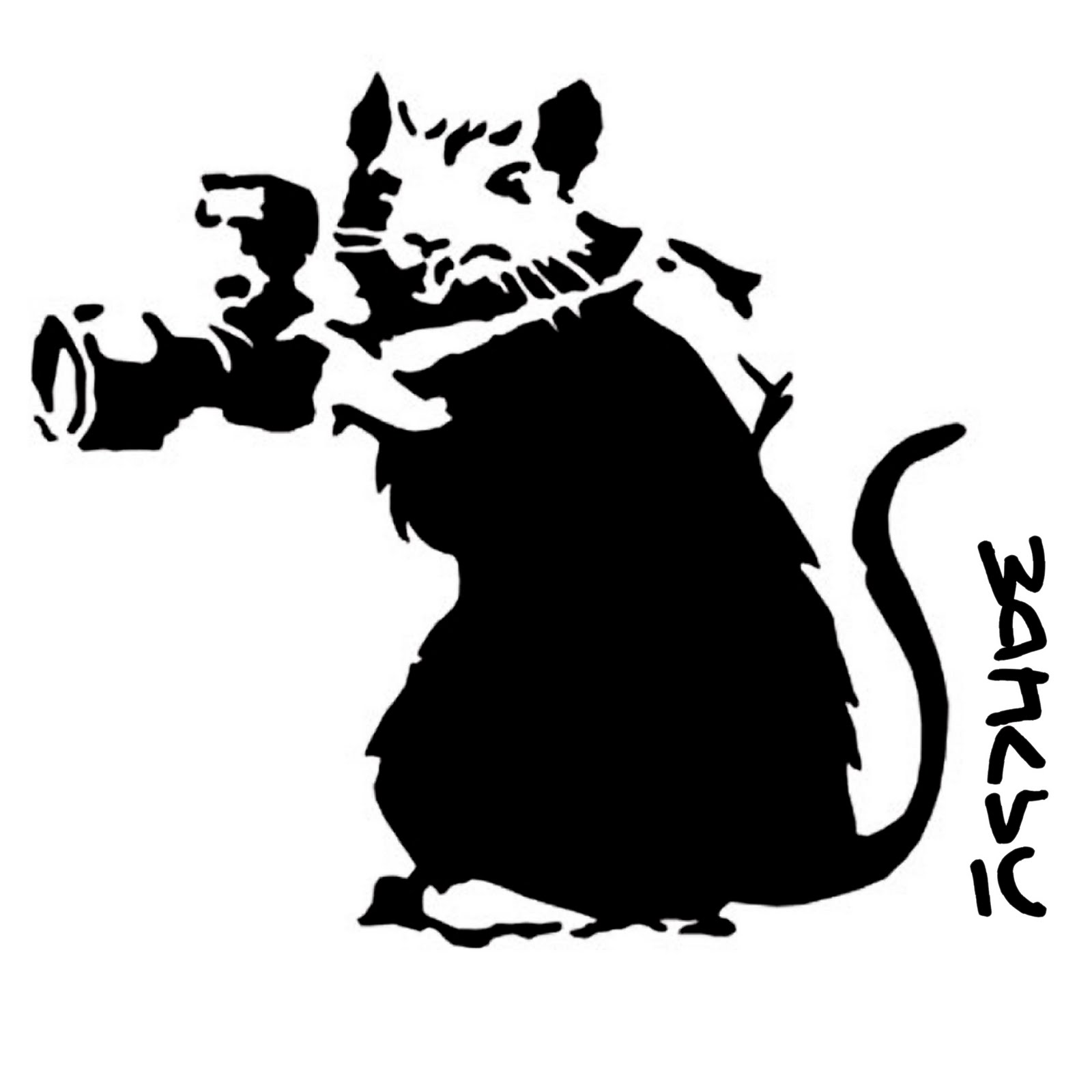 The World Of Wild Photo Rat