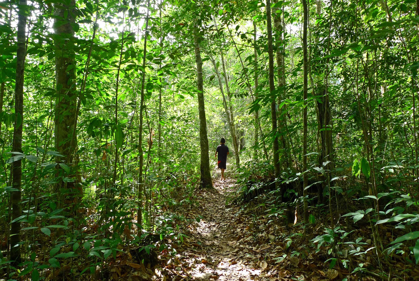 Kuching Hidden Gem - Jangkar Waterfall in Lundu