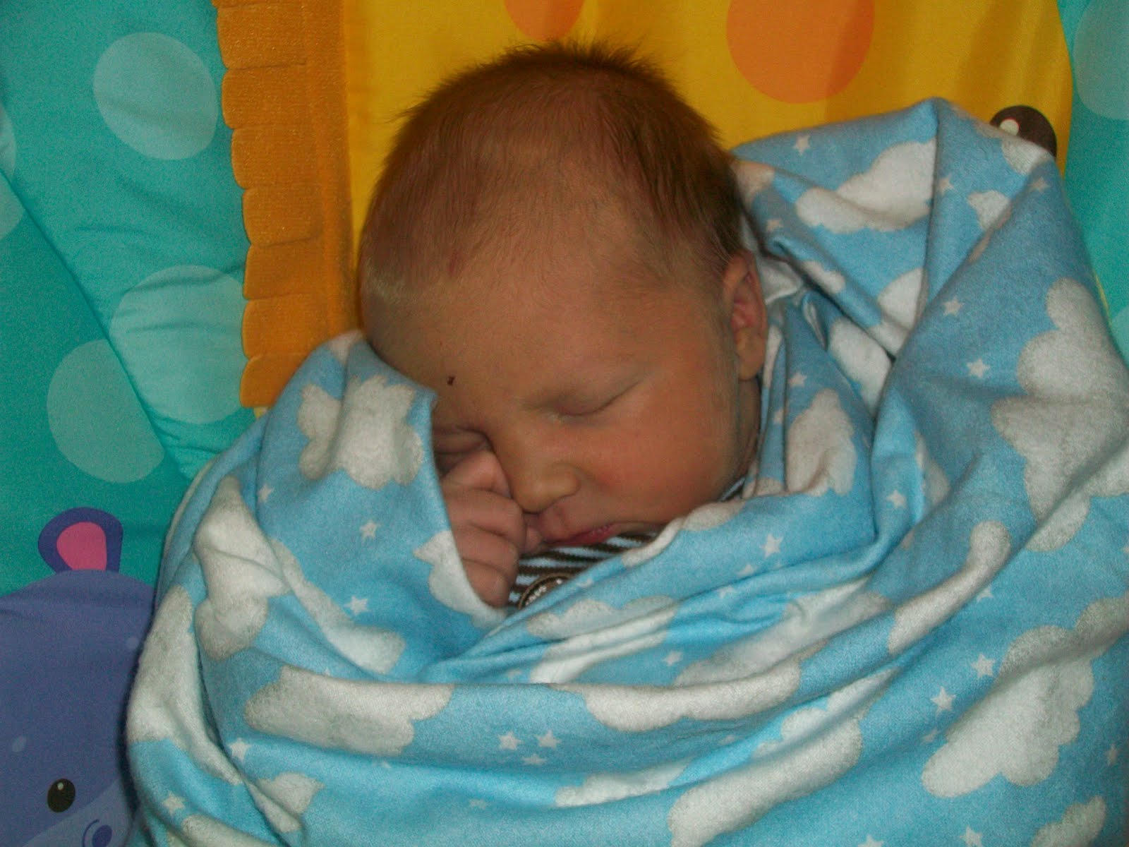 Stories From The Stokes': I love you forever!