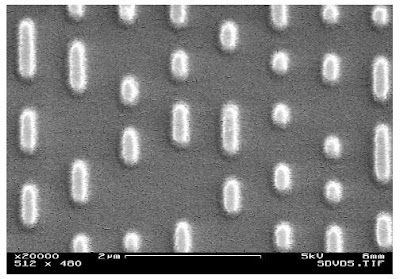 The Aftermath: March 2009