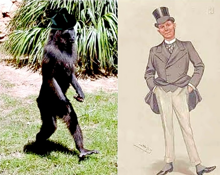 [O Dolicocéfalo] - CANTO DO CIRNE : O HOMEM PRIMITIVO MODERNO