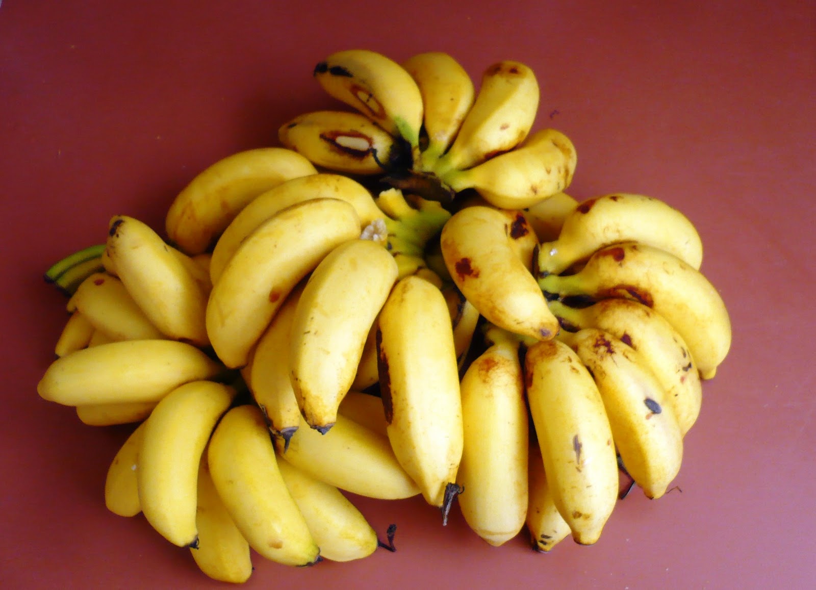 La vida en mi patio: Valió la pena la espera