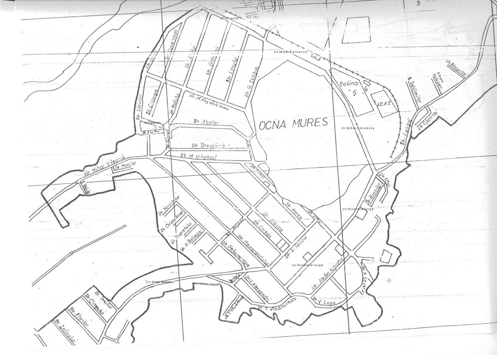Adevarul despre Ocna Mures