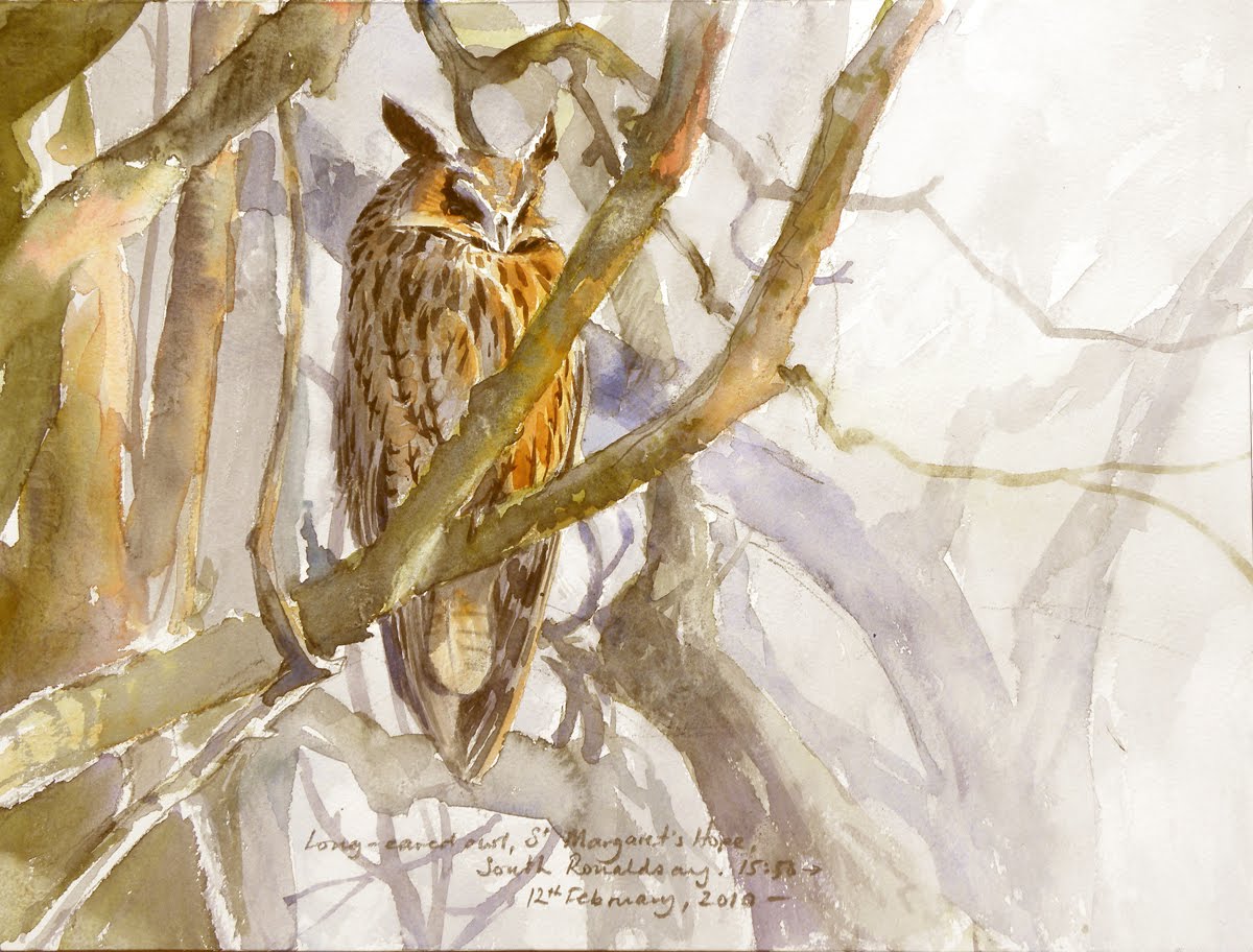 Tim Wootton Wildlife Art: May 2010