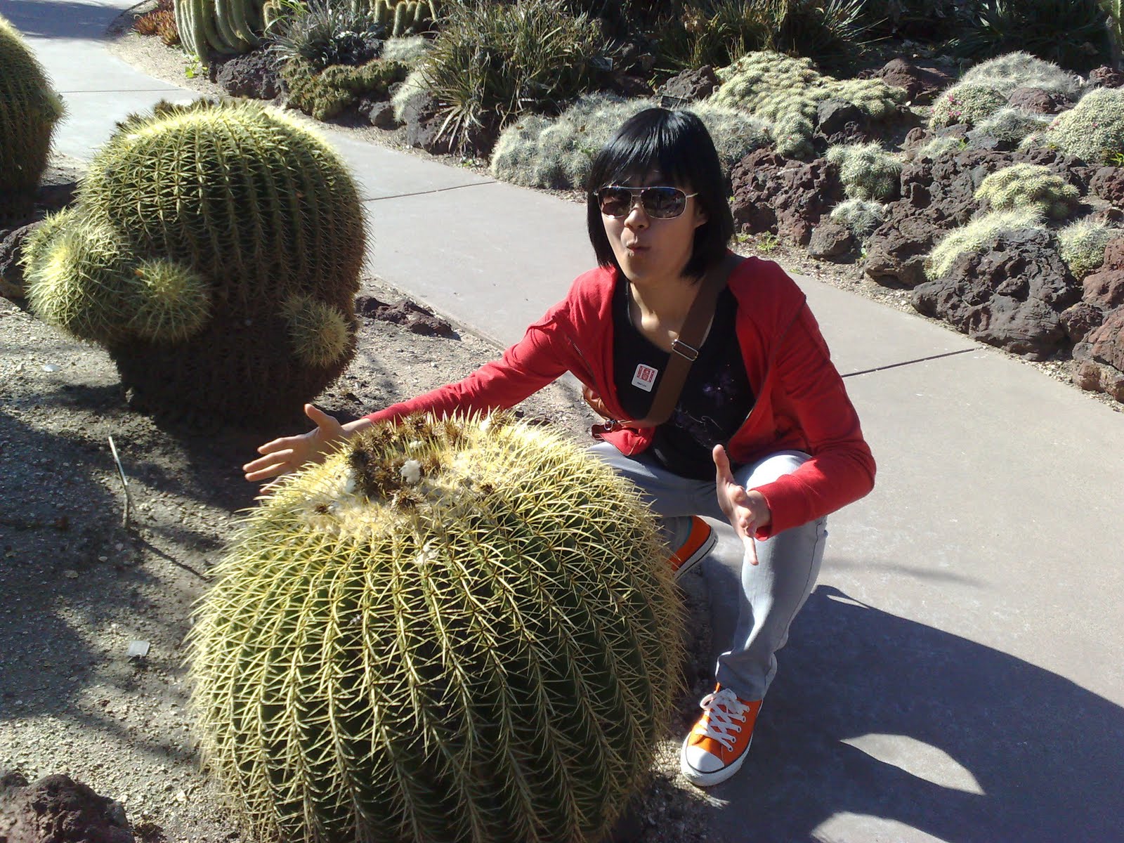 Around the States in 180 days: 29 Jan- Pasadena