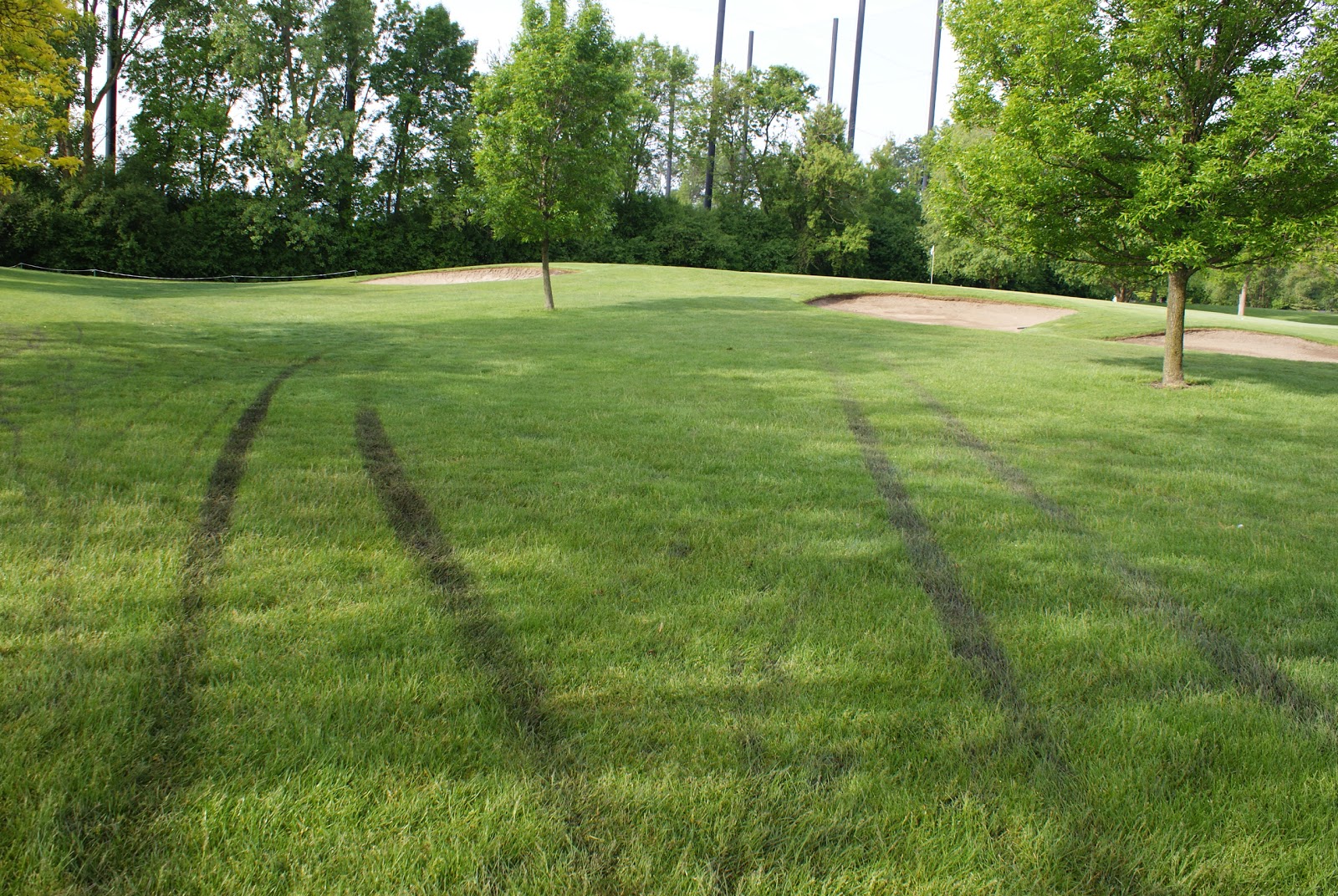 Sugar Creek Golf Course Blog: Cart Path Restrictions