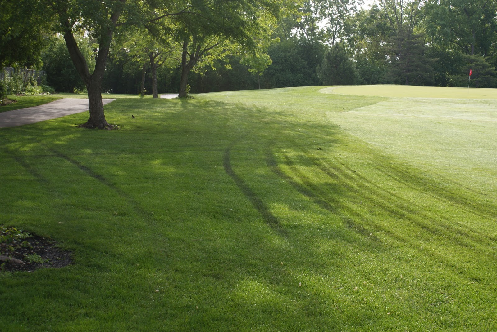 Sugar Creek Golf Course Blog: Cart Path Restrictions