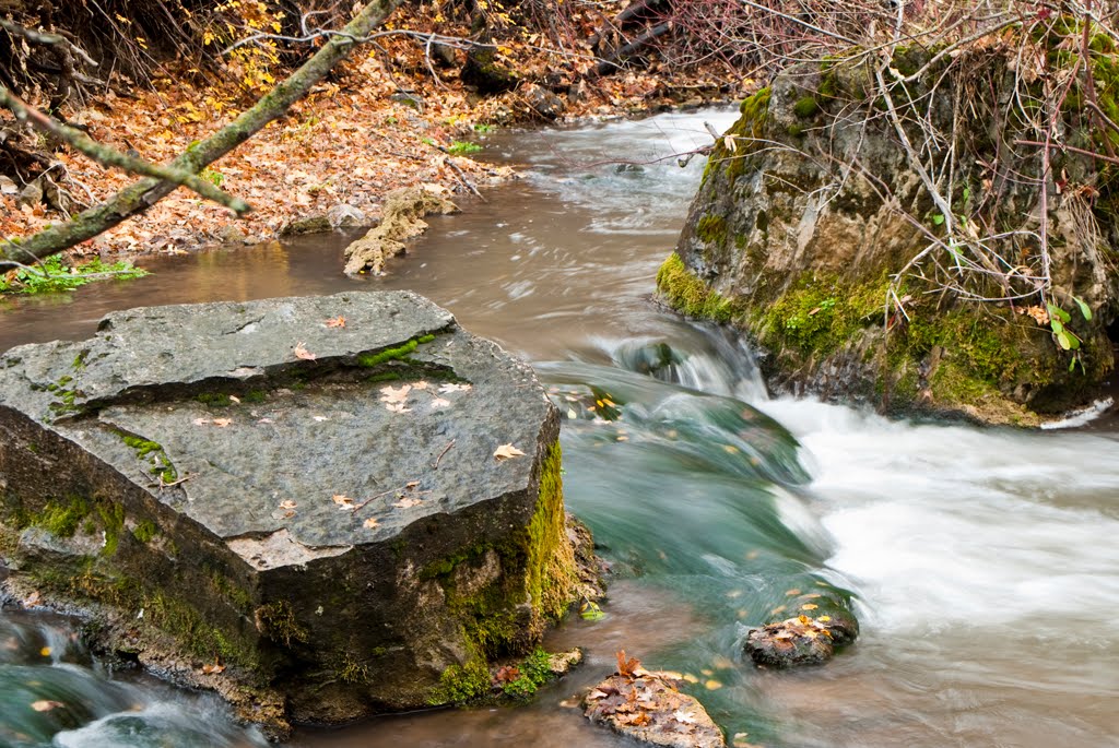 Antelope Reflections: Bubbling Brook
