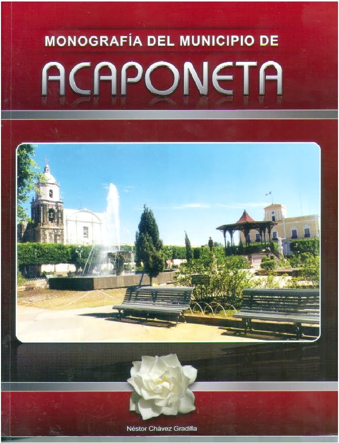 PUERTA NORTE: BREVE SOBRE LA MONOGRAFÍA DE ACAPONETA