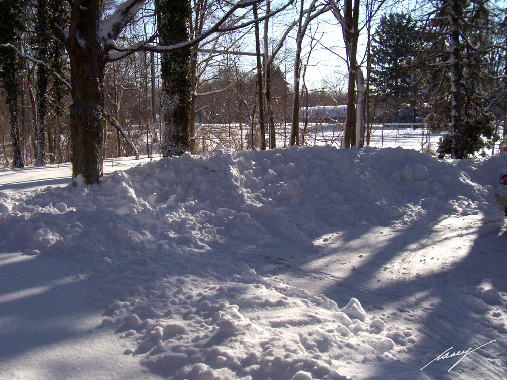 casey/artandcolour: Surprise! Huge Snowfall Last Night. Again.