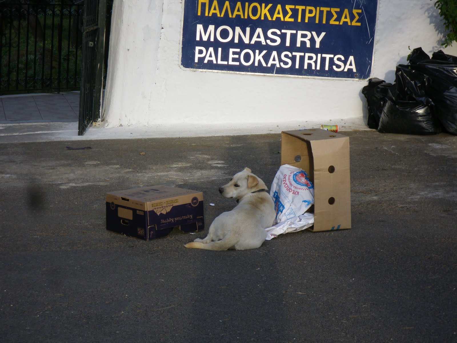 Alec and Vivi's Great Escape: Paleokastritsa, Corfu.