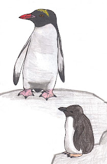 The Disillusioned Taxonomist: Macaroni & Royal Penguins
